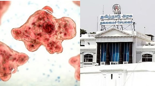 மூளையைத் தின்னும் அமீபா: தமிழக சுகாதாரத்துறை முக்கிய உத்தரவு! brain ...