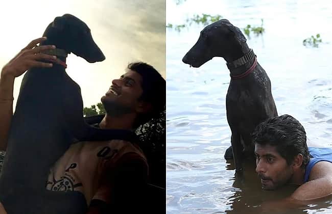 பரியேறும் பெருமாளில் நடித்த கருப்பி நாய் பலி! பட்டாசுகளால் நேர்ந்த சோகம்!