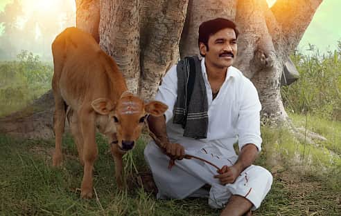 ஓடிடியில் இட்லி கடை எப்போது? idly shop ott release