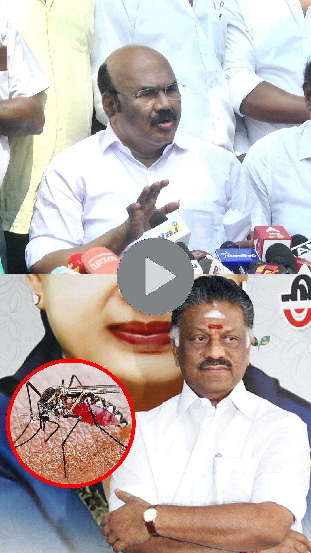 ஓபிஎஸ்-ஐ கொசு என விமர்சித்த ஜெயக்குமார் | Jayakumar | OPS | ADMK