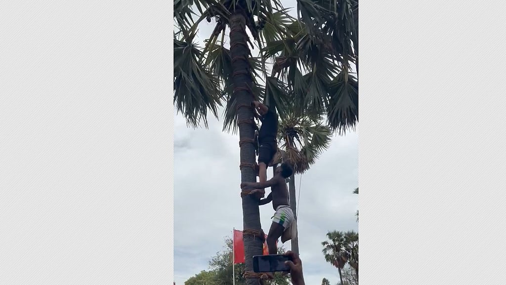 கள் இறக்கும் போராட்டம்: பனைமரம் ஏறிய சீமான்- Seeman who climbed a palm tree