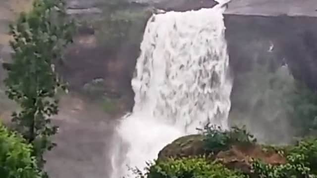 வால்பாறையில் கனமழை: நீர்வீழ்ச்சியில் ஆர்ப்பரித்து கொட்டும் நீர் ...