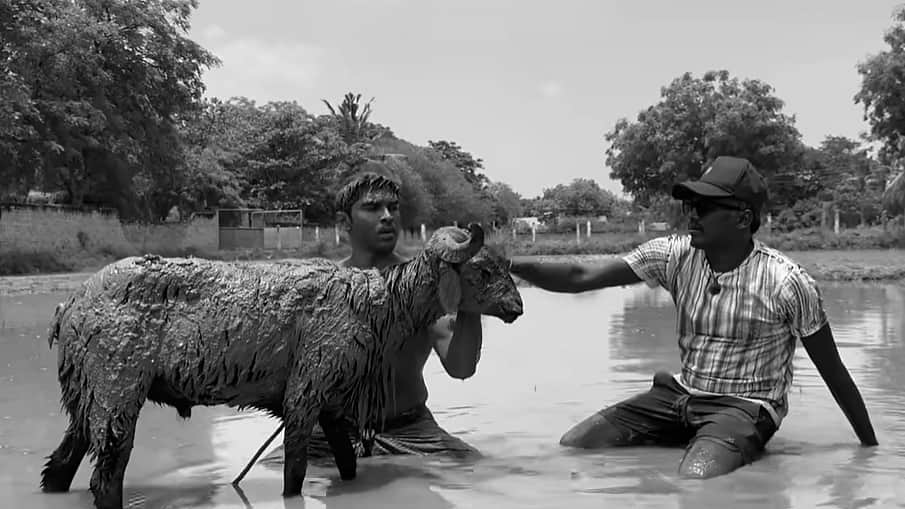 பைசன் படத்தின் மேக்கிங் விடியோ! bison making video