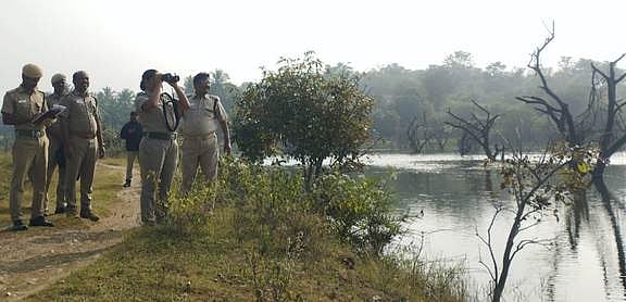 ஆலங்காயம், வாணியம்பாடி ஏரிகளில் பறவைகள் கணக்கெடுப்பு