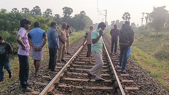 ரயிலில் அடிபட்டு 50 ஆடுகள் உயிரிழப்பு