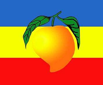 Mango' symbol for Bamaka: Election Commission