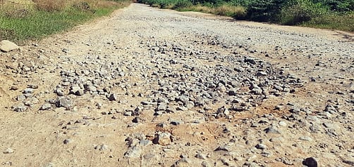 கடையம் ரயில்நிலையச் சாலையைசீரமைக்கக் கோரிக்கை